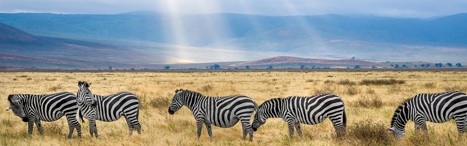 Africa Border Crossing Safety 2026, What Travellers Must Know