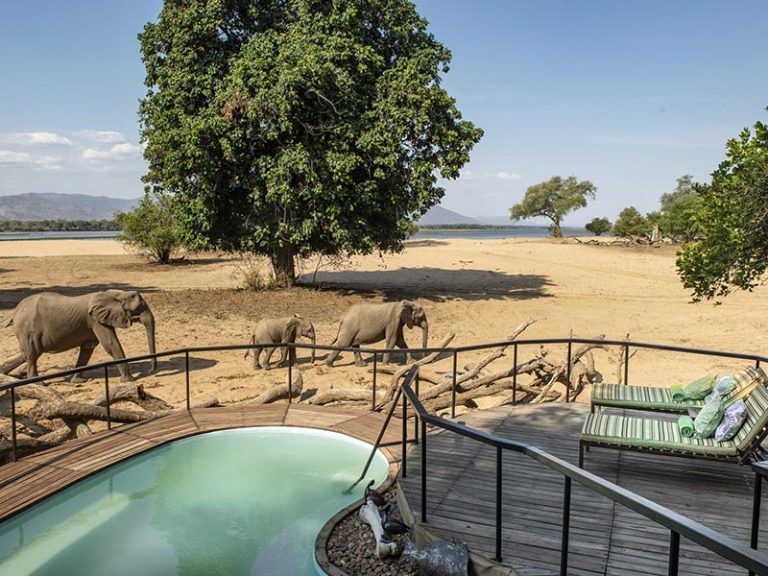 Is Zimbabwe Safe for Tourists 2026 Guide